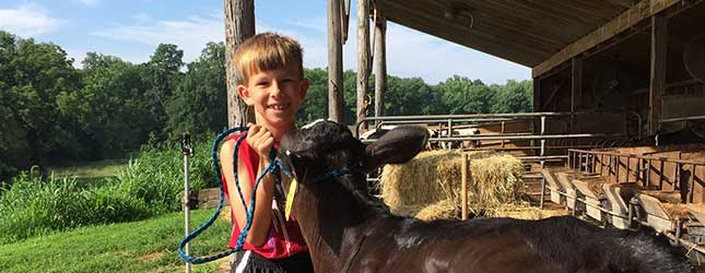 David - Fulper Family Farmstead