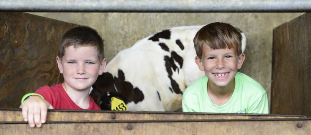 Farmstead Adventures on Fulper Farm